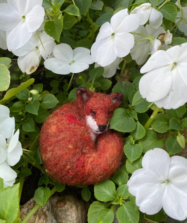 Curled Up Sleeping Fox Needle Felting Kit – Knotty Knit